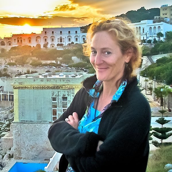Director Biography – Susan Gray (CLIMATE EMERGENCY – FEEDBACK LOOPS ...